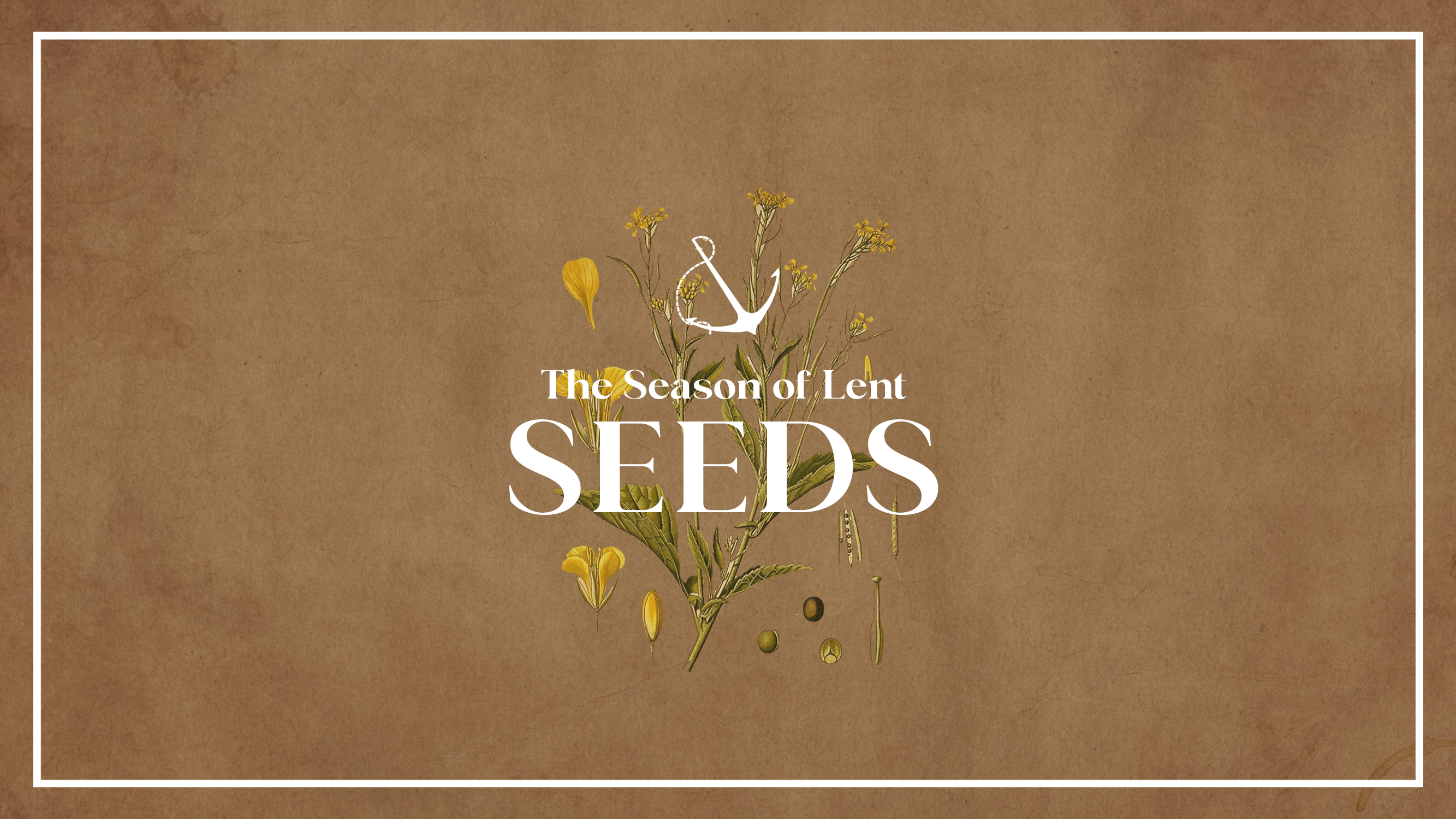 February 11, 2024 • Worship liturgy – Anchor & Hope Church